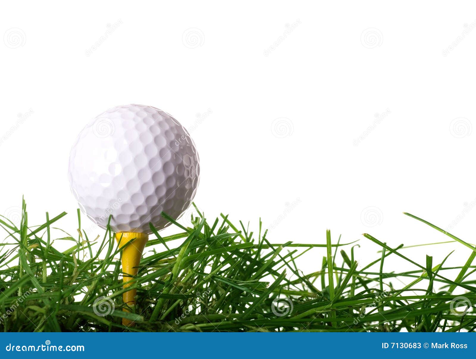 Golf Ball on Tee stock image. Image of green, competition - 7130683