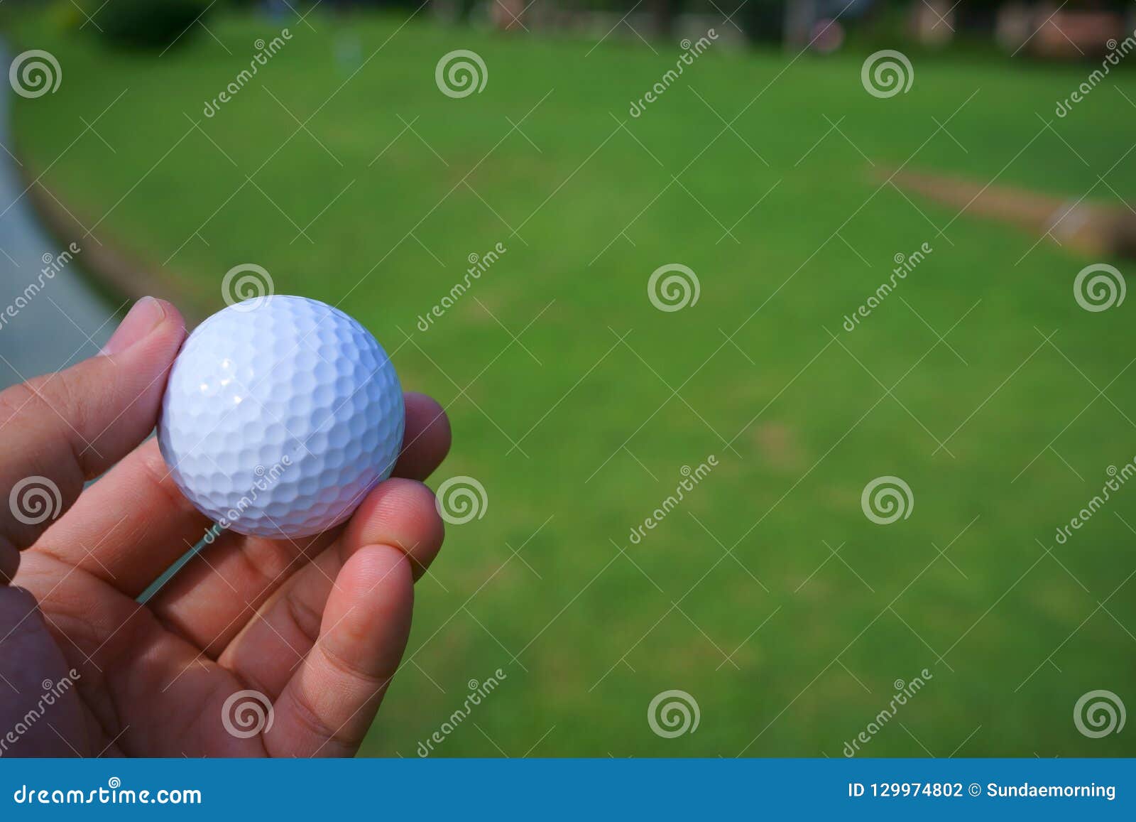 Golf Ball and Tee on Golf Green Course Background Stock Photo - Image ...