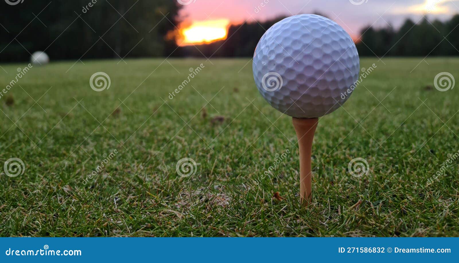 Golf Ball on Tee and Green Grass with Sunset Closeup Stock Photo ...