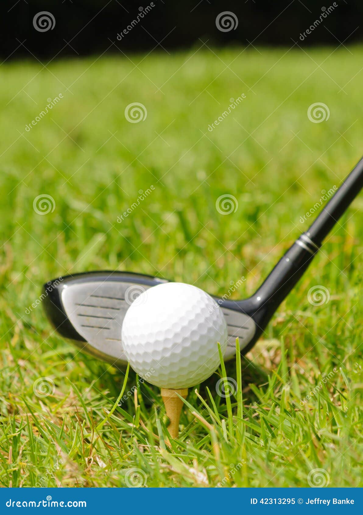 Golf ball on tee stock image. Image of exercise, warmup - 42313295