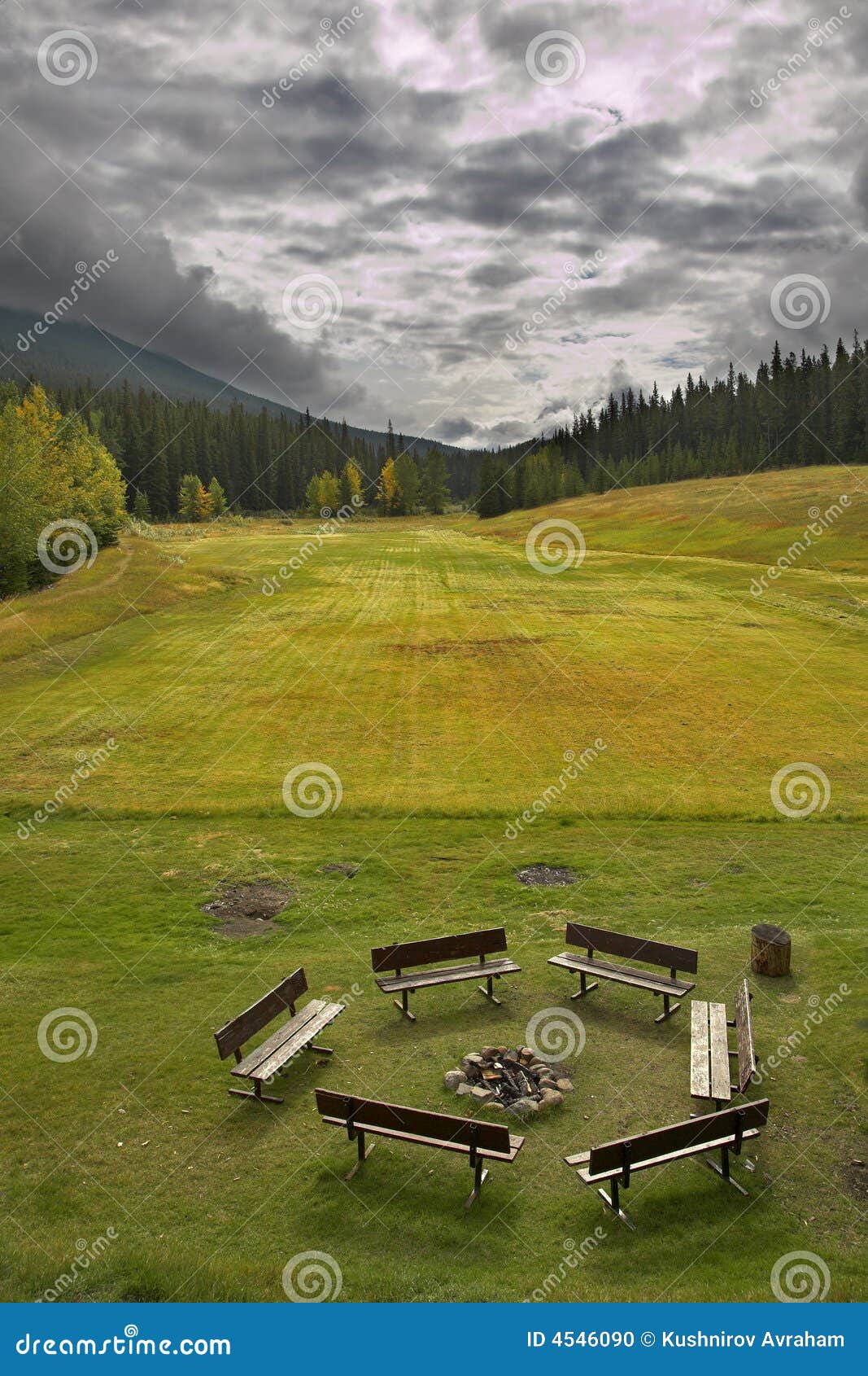 Golf and barbecue stock photo. Image of color, grass, friendship - 4546090