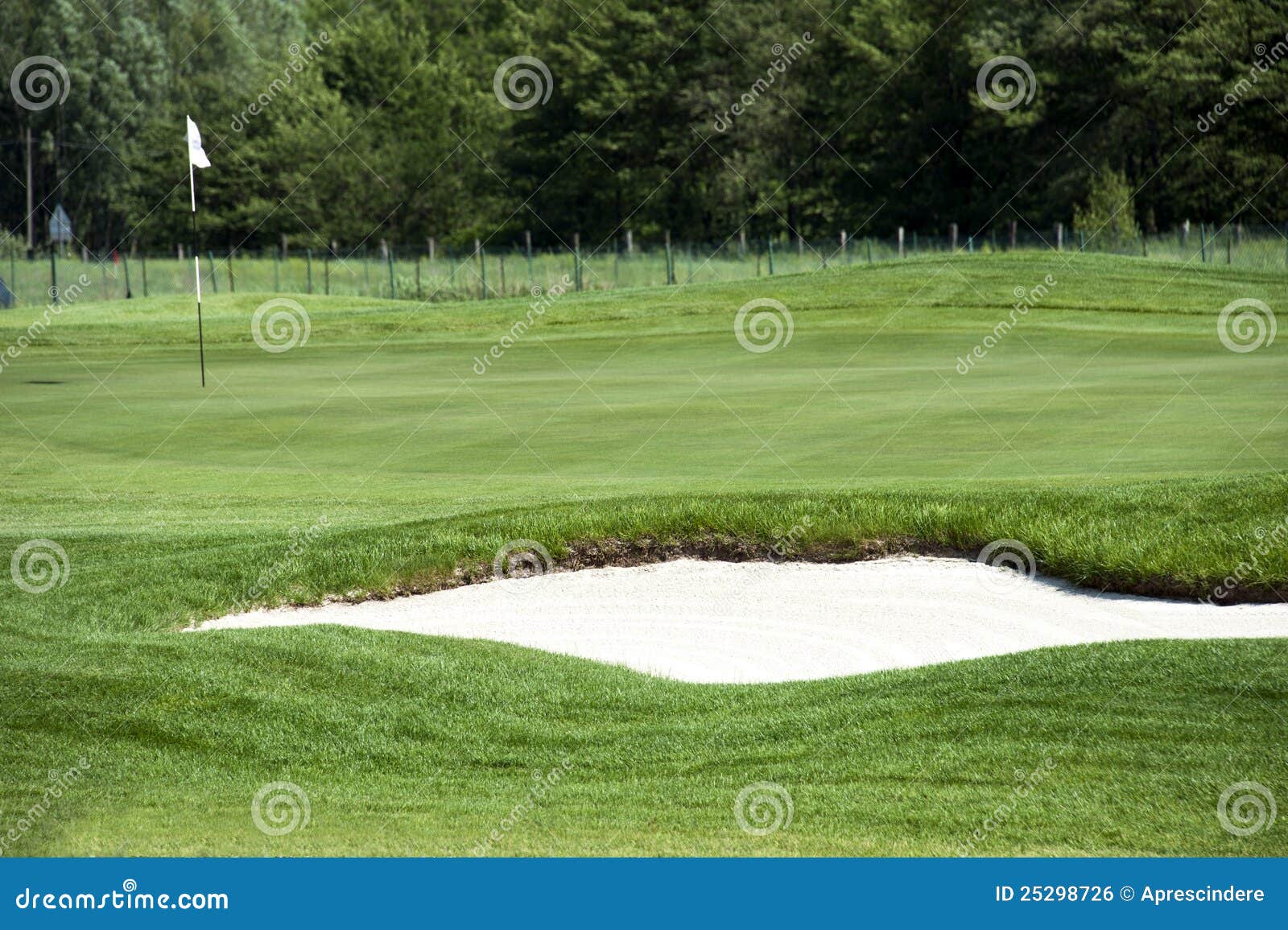 Golf bunker stock photo. Image of beautiful, club, green - 25298726