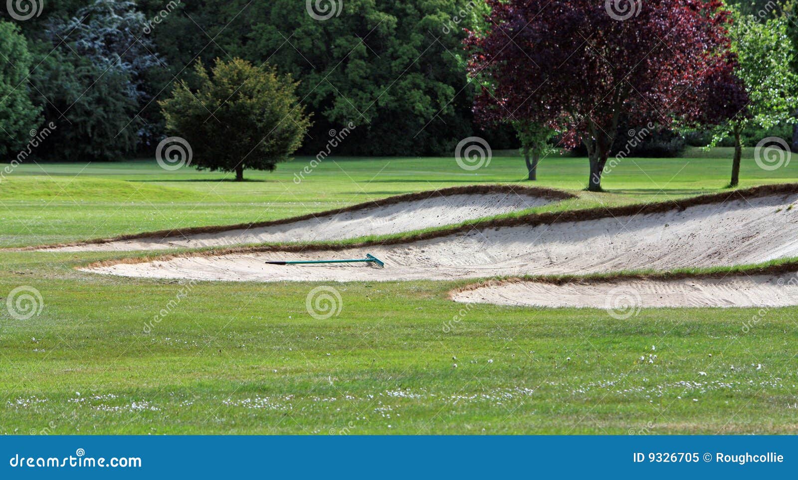 Golf Bunker stock image. Image of hobby, golfcourse, healthy - 9326705