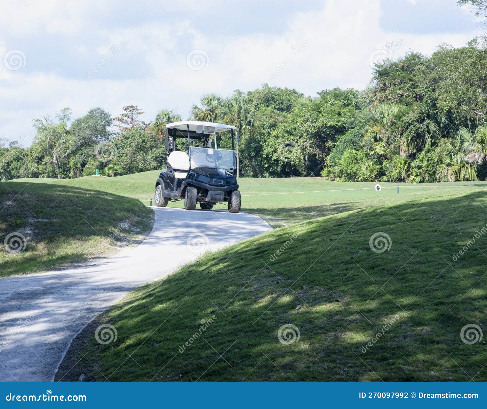 A Golf Car in the Golf Course Stock Photo - Image of sport, tree: 270097992