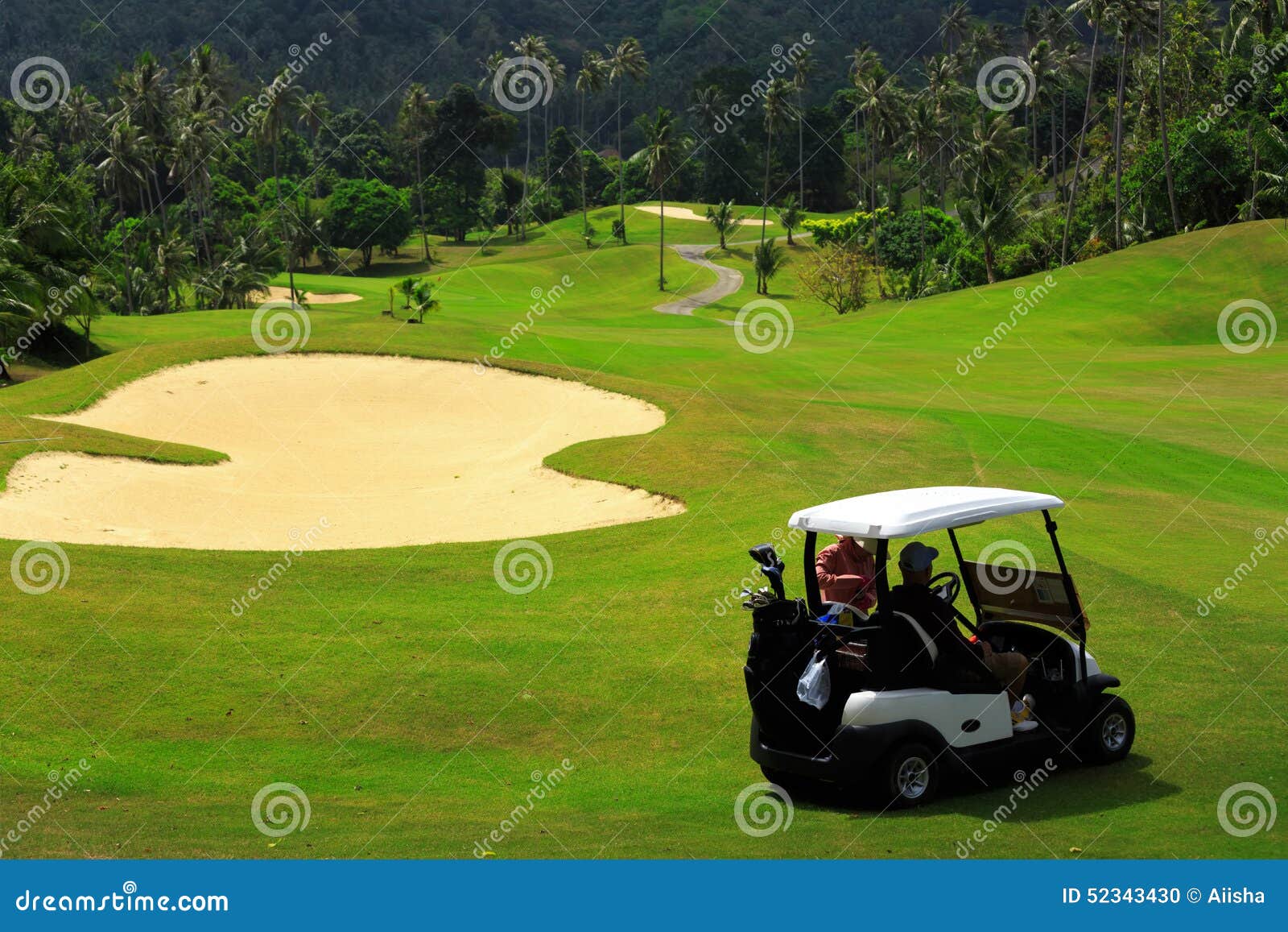 Golf Car on the Golf Course Stock Photo - Image of playing, outdoor ...