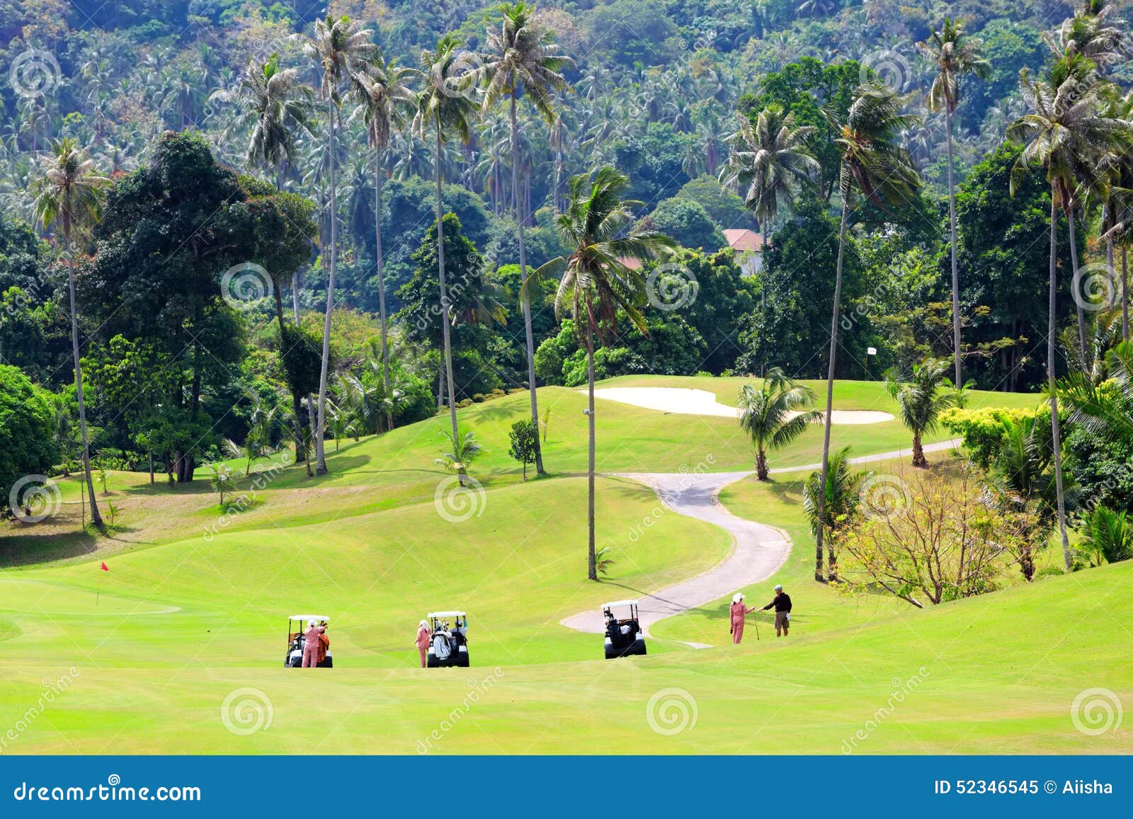 Golf Cars on the Golf Course Editorial Image - Image of view, grass ...