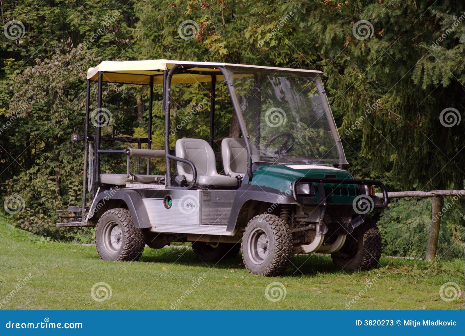 Golf cart stock image. Image of diesel, ball, nature, drive - 3820273