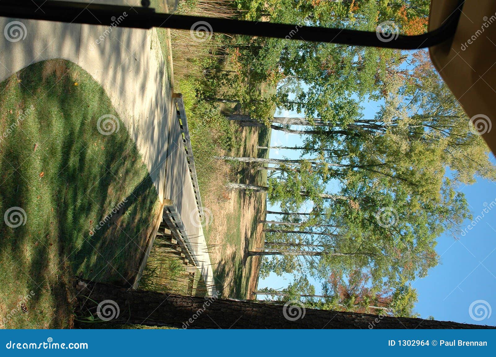 Golf Cart Crossing Path stock photo. Image of sport, shop - 1302964