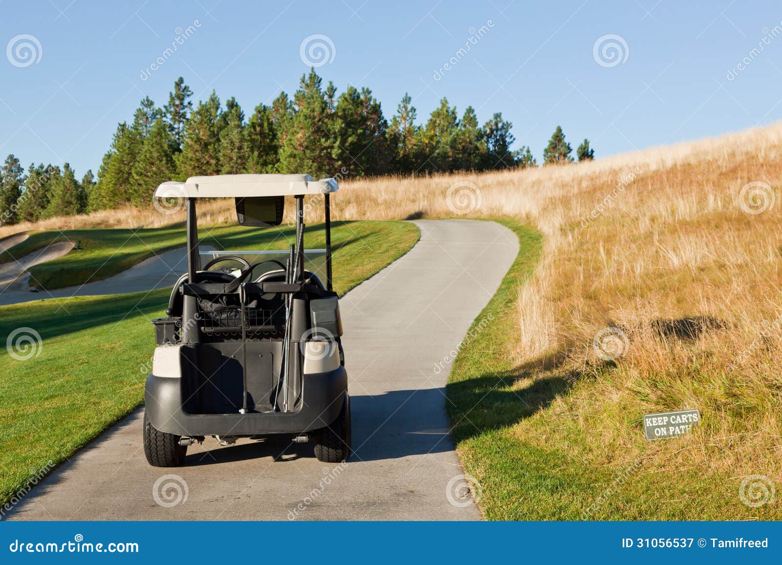 Golf Cart on Path stock image. Image of morning, transportation - 31056537