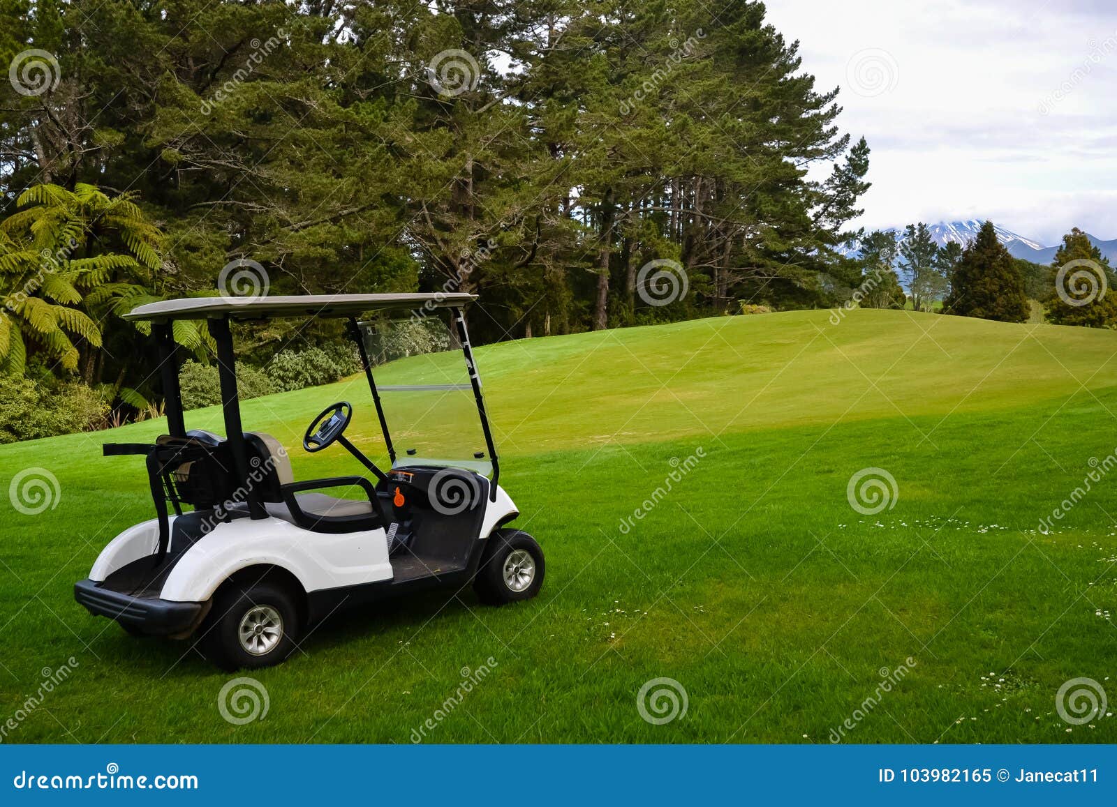 Golfers Golf Cart at Golf Course Editorial Image - Image of hobby ...