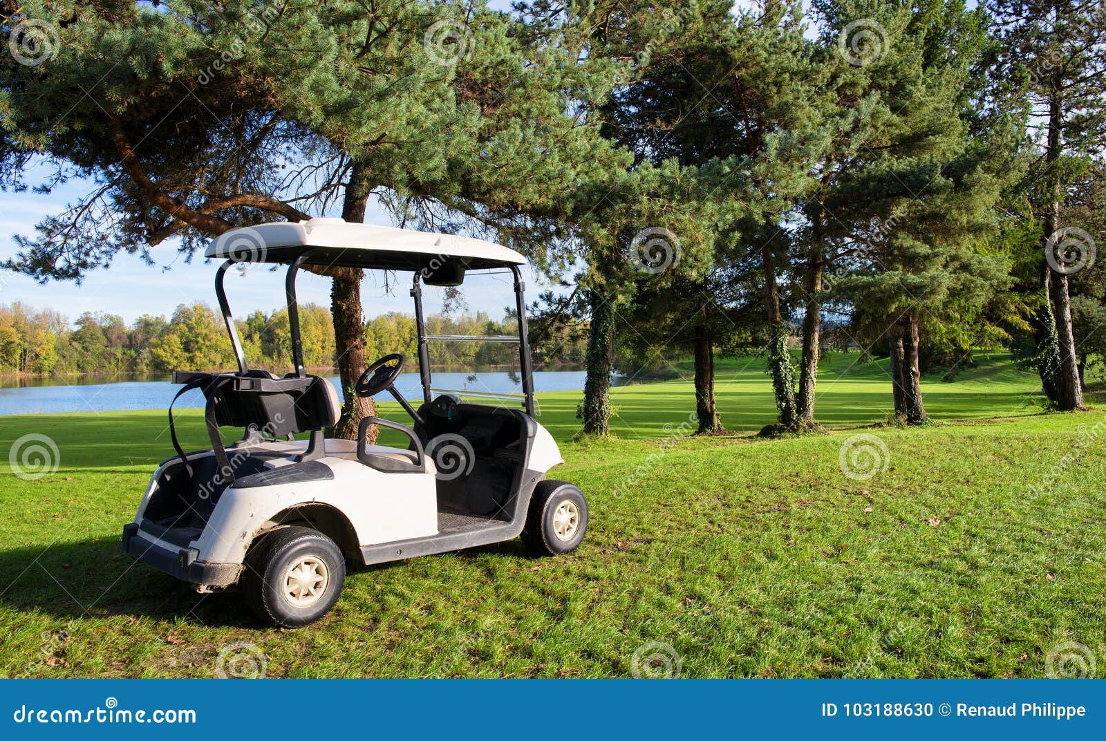 Golf Carts on a Golf Course Stock Photo - Image of green, sport: 103188630