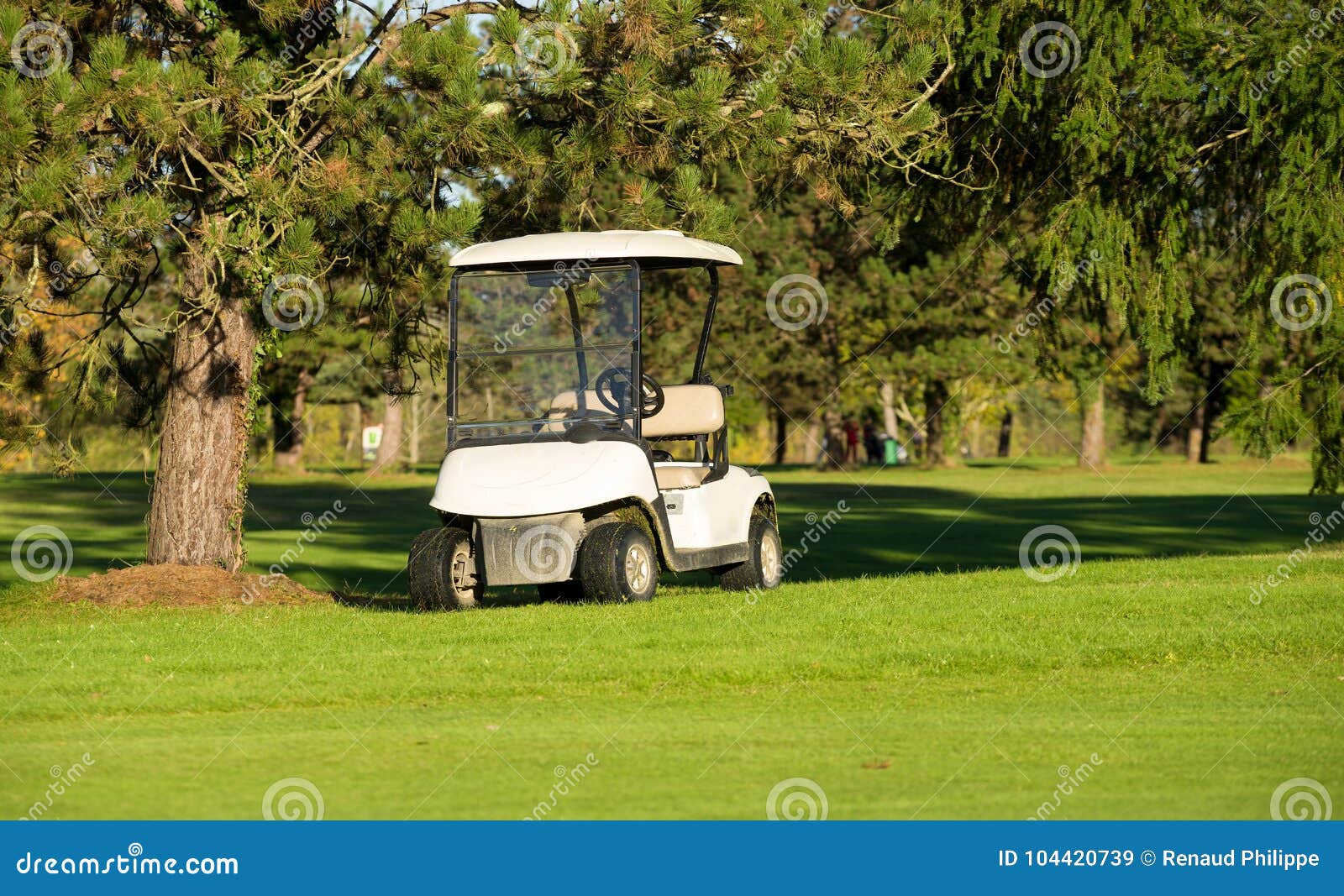 Golf Carts on a Golf Course Stock Image - Image of grass, club: 104420739