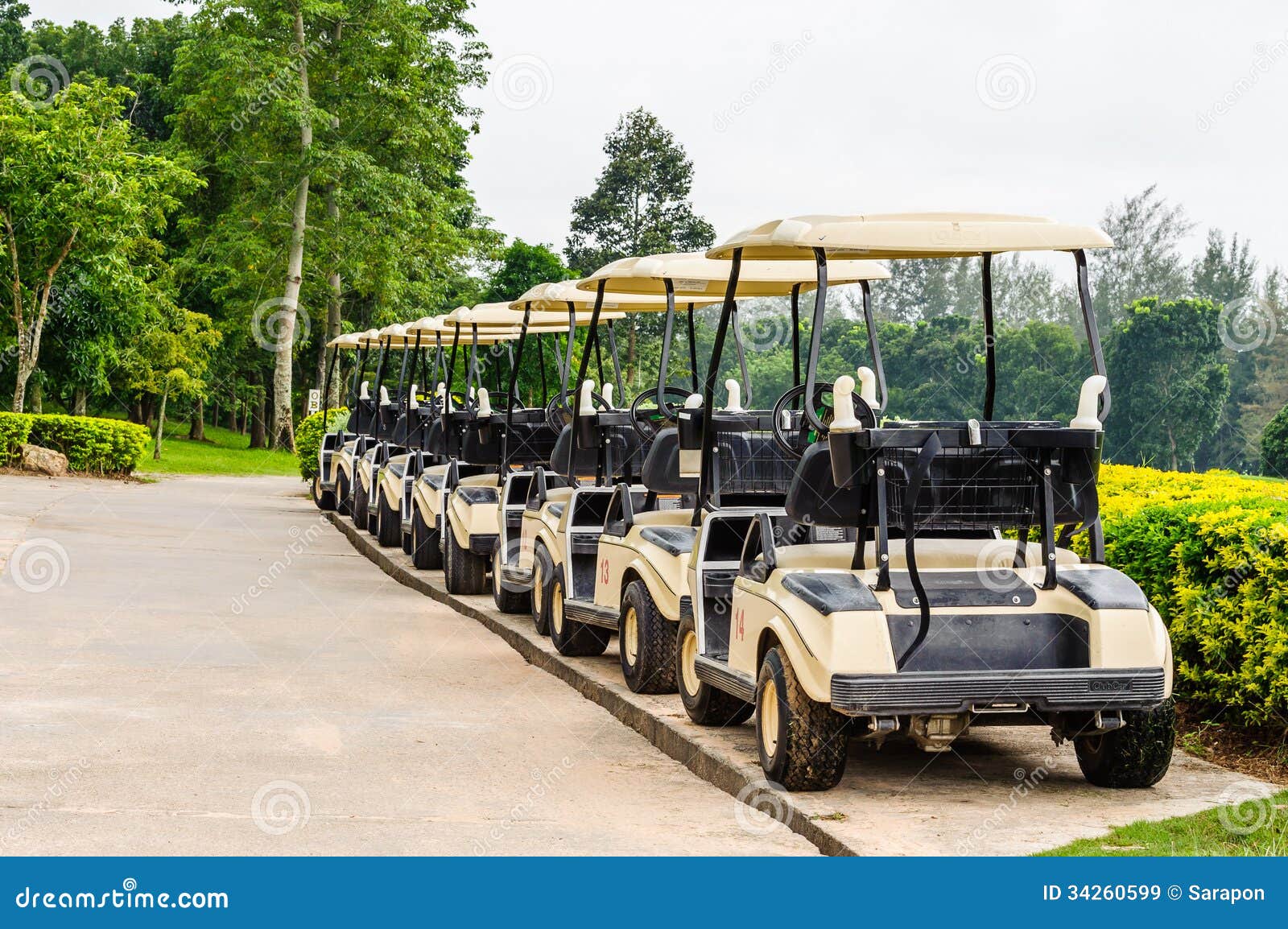 Golf Carts on a Golf Course Stock Image - Image of hobby, driving: 34260599