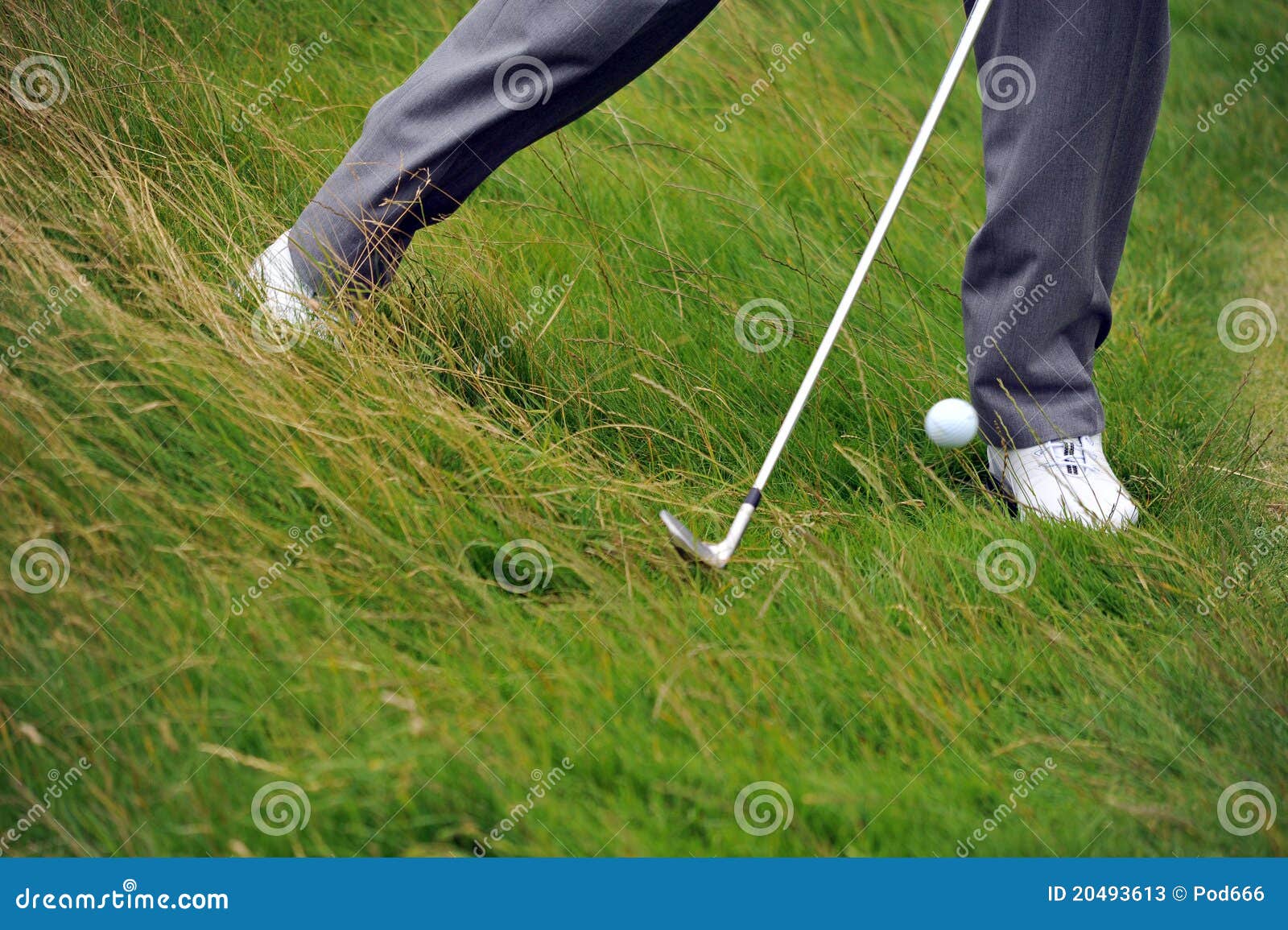 Golf Chip Shot from the Rough Stock Image - Image of ball, green: 20493613