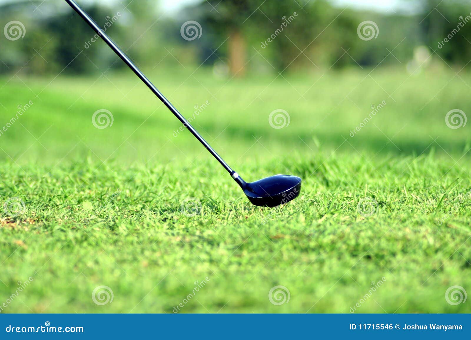 Golf Club stock photo. Image of nature, golfer, outdoor - 11715546