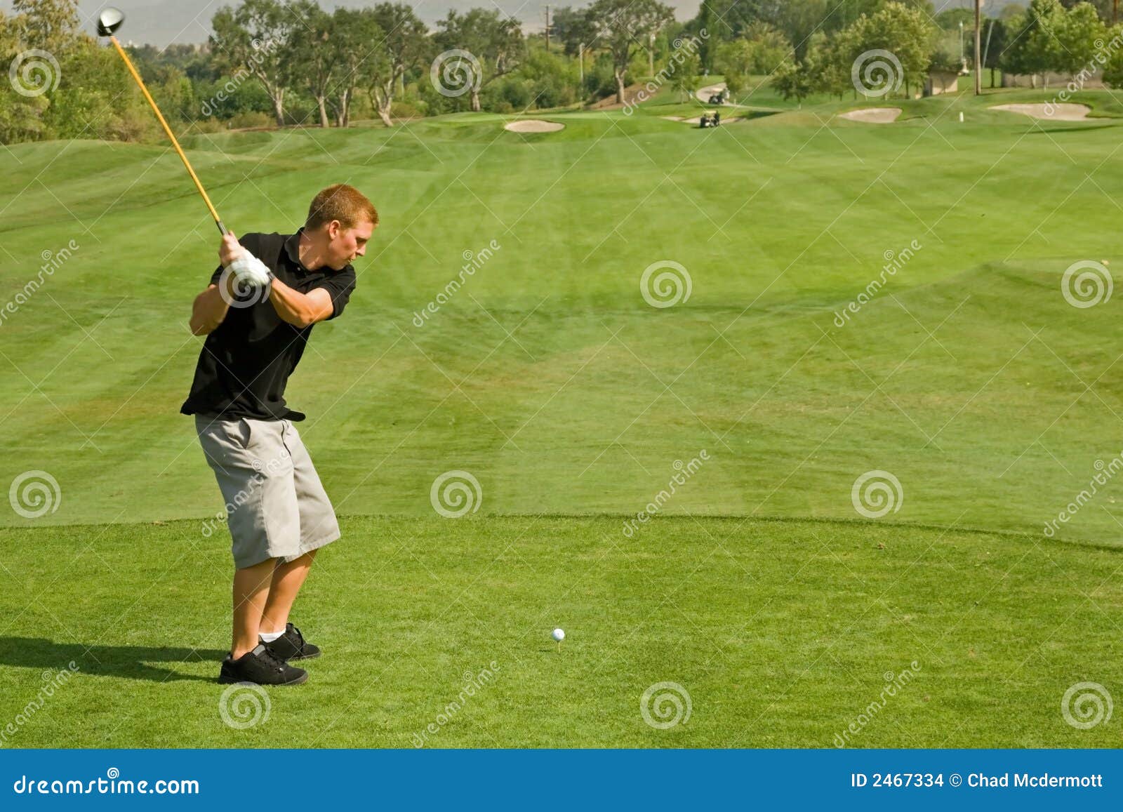 Golf Club Action stock photo. Image of shaft, golf, fairway - 2467334