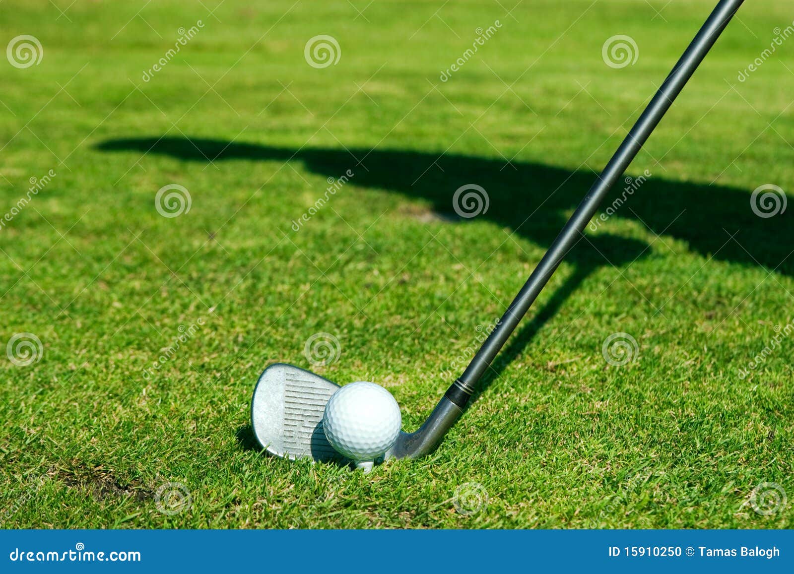 Golf club and ball stock photo. Image of hobby, action - 15910250