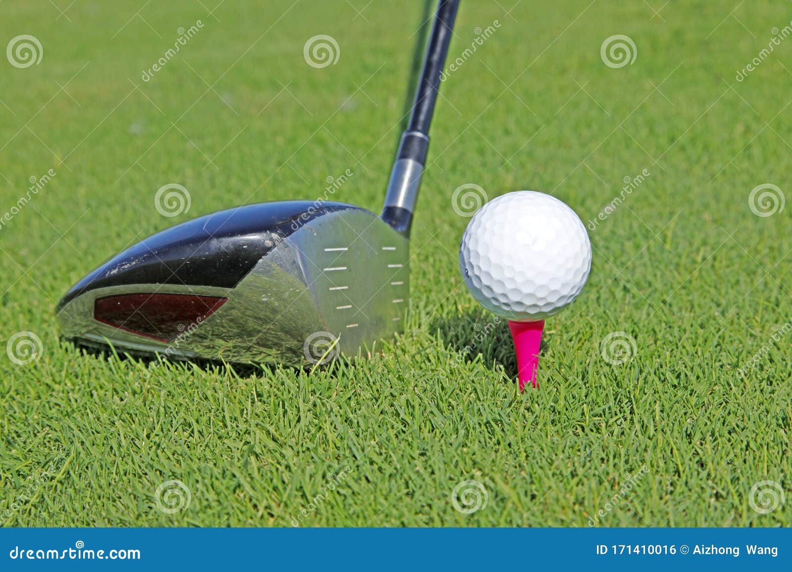Golf Club and Ball in Grass Stock Photo - Image of sport, activity ...