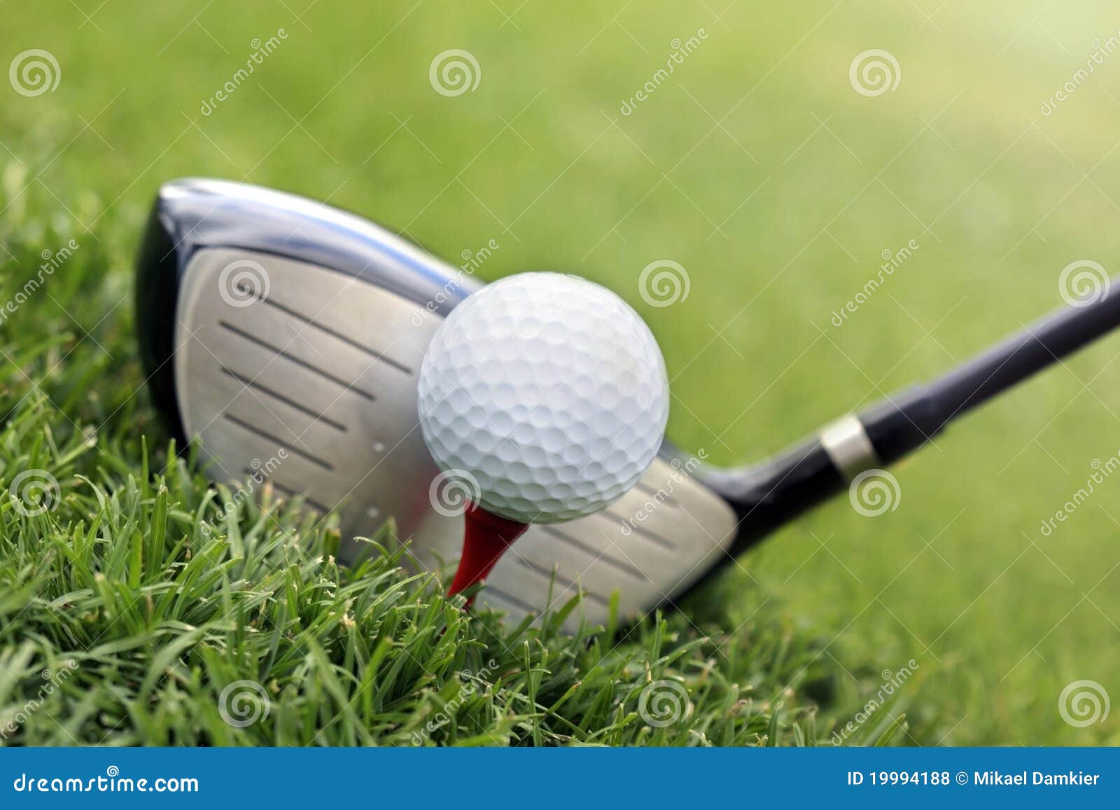 Golf Club and Ball in Grass Stock Photo - Image of training, activity ...