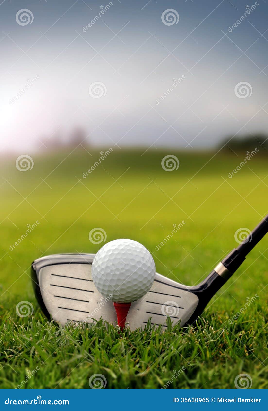 Golf Club and Ball in Grass Stock Image - Image of grass, activity ...