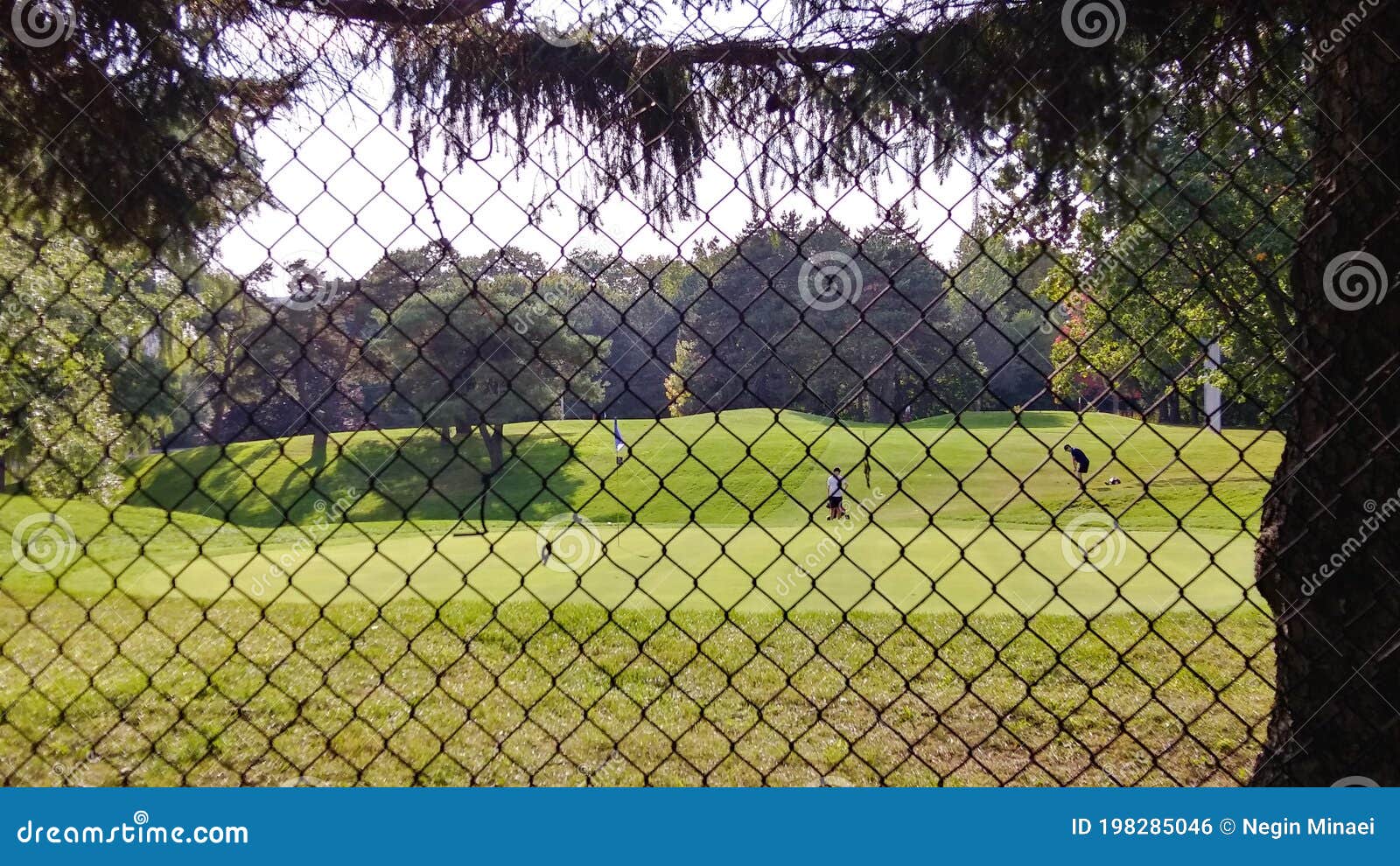 A golf club through fences stock photo. Image of golf - 198285046