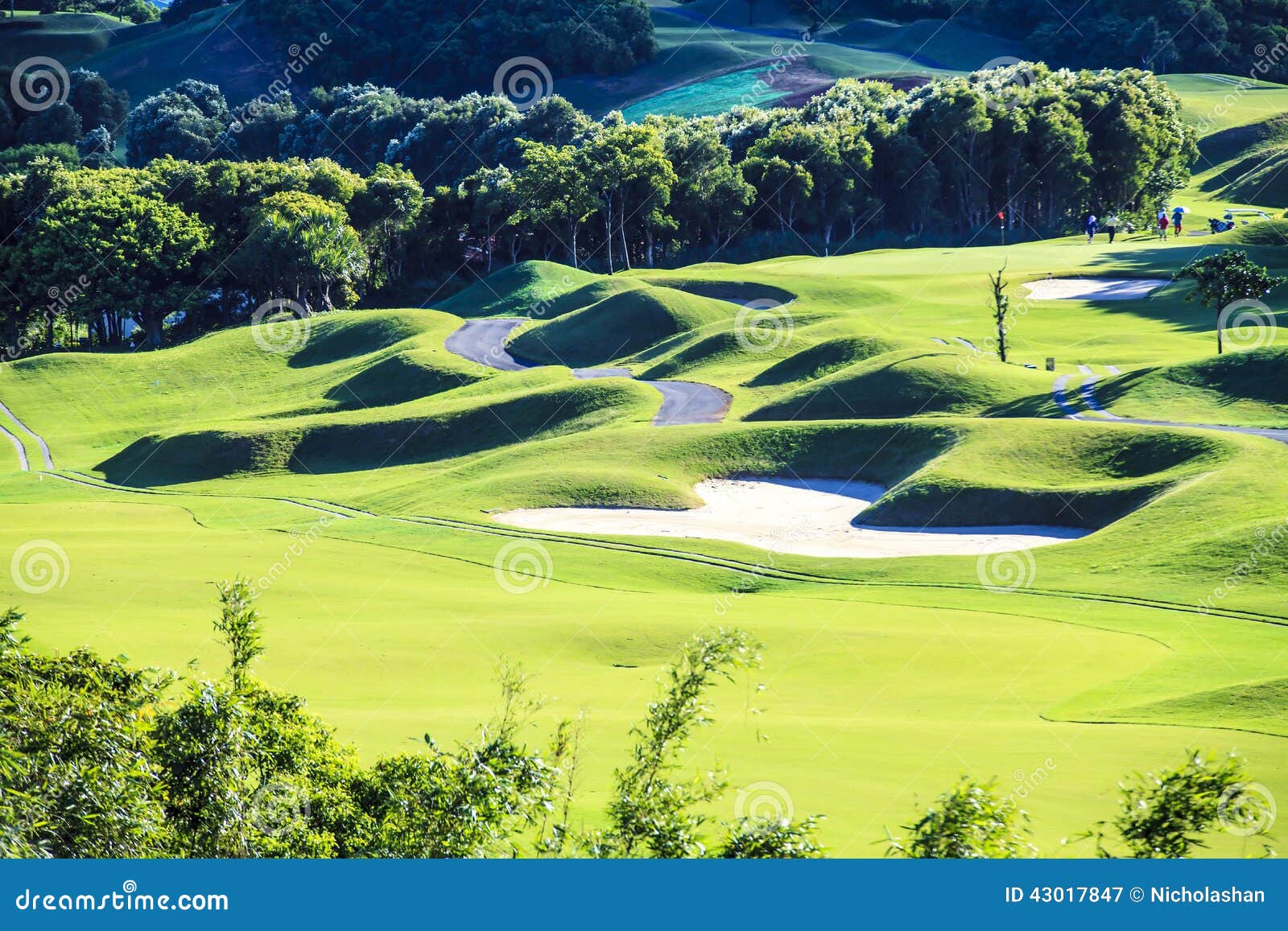 Golf club with nice green stock image. Image of sport - 43017847