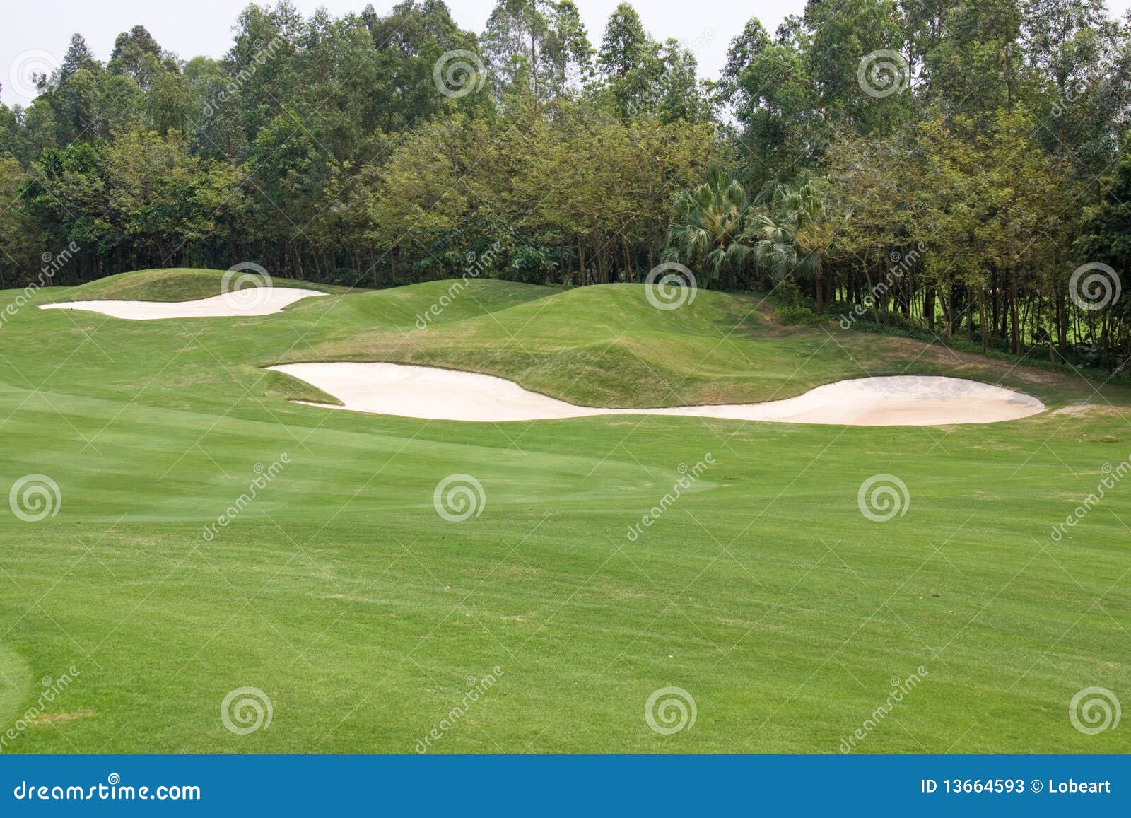 Golf Competition stock image. Image of scenery, green - 13664593