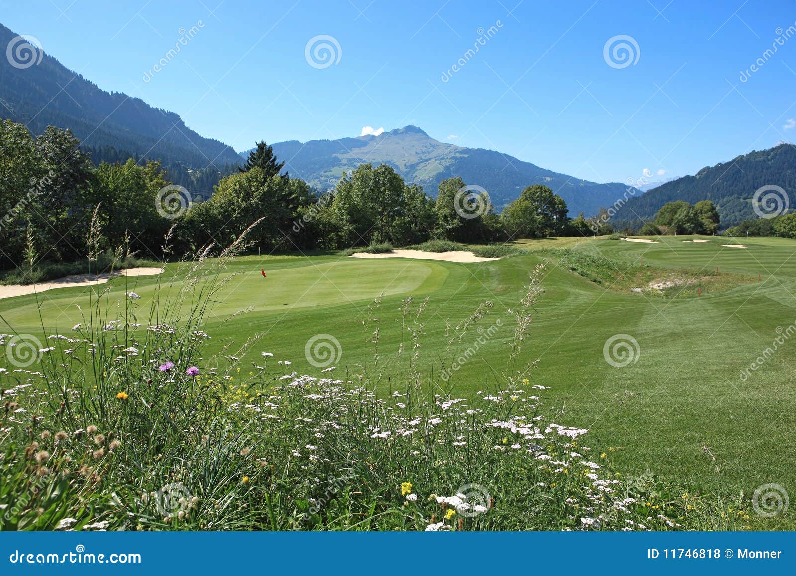 7,199 Golf Scenery Stock Photos - Free & Royalty-Free Stock Photos from ...