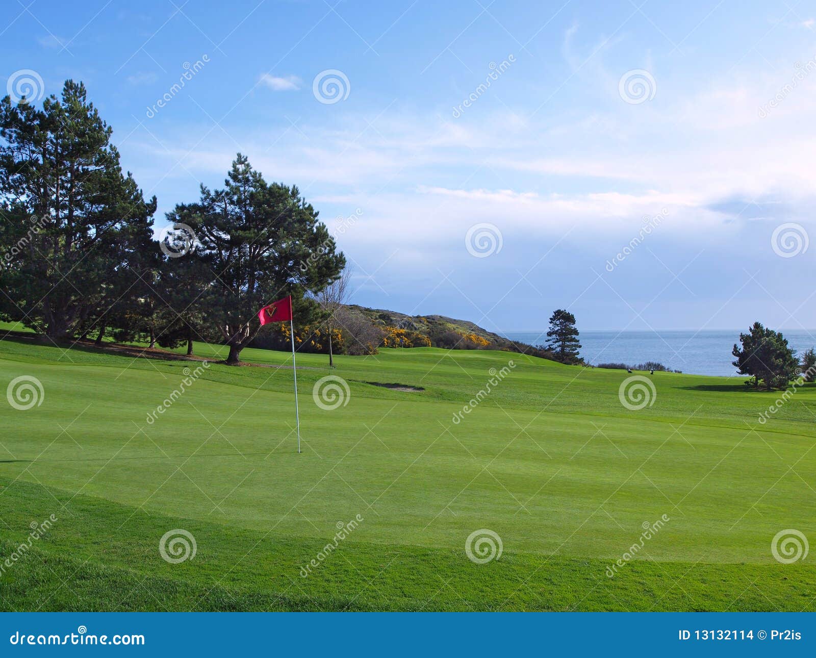 Golf course stock photo. Image of compete, player, leisure - 13132114