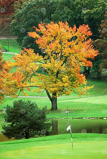 Golf Course stock photo. Image of hills, golf, lake, maples - 1462032