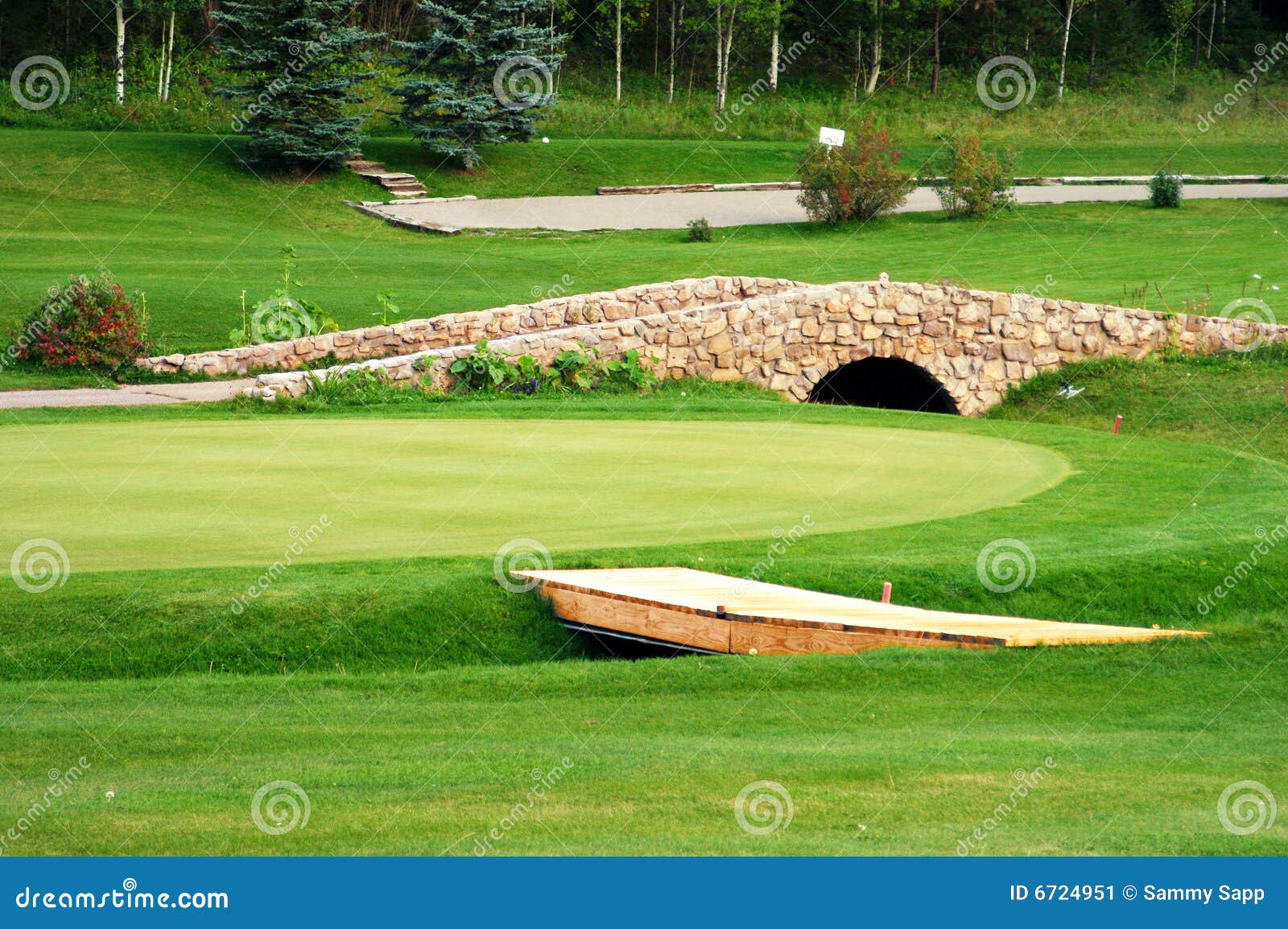 Golf course stock image. Image of golf, grass, green, bridge - 6724951