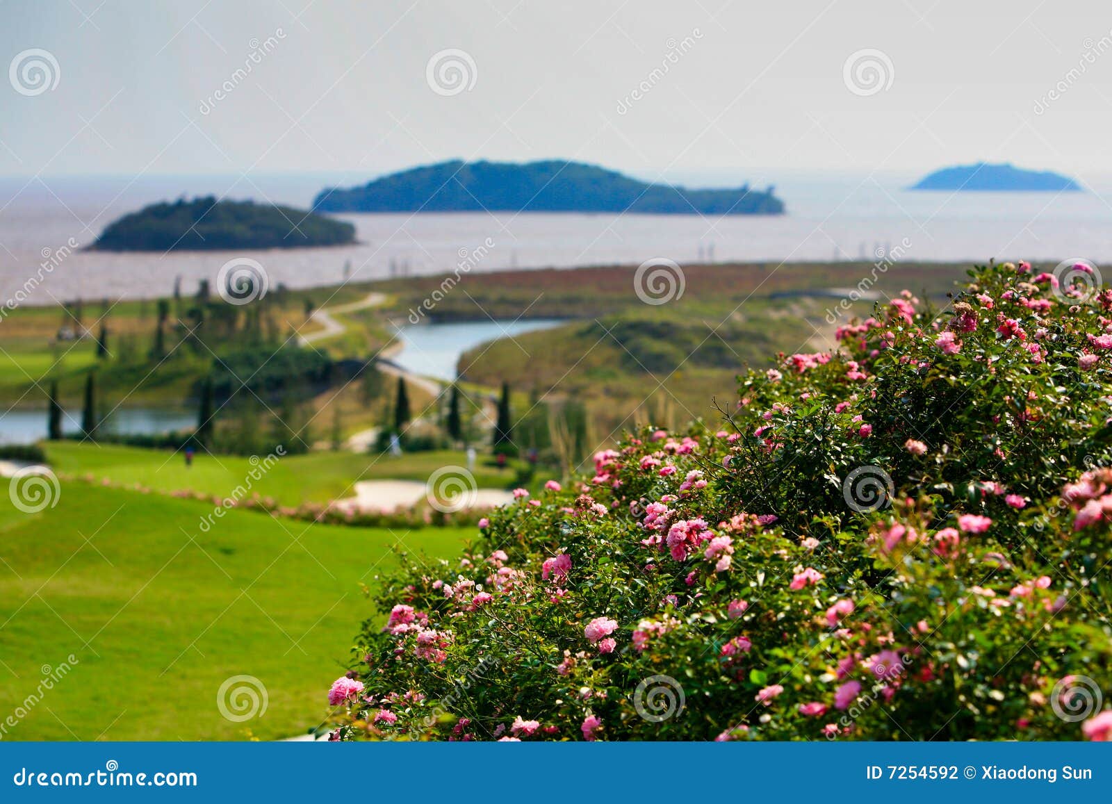 1,200 Golf Course Flower Stock Photos - Free & Royalty-Free Stock ...