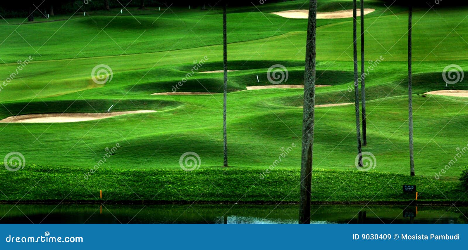 Golf course stock image. Image of damp, natural, lines - 9030409