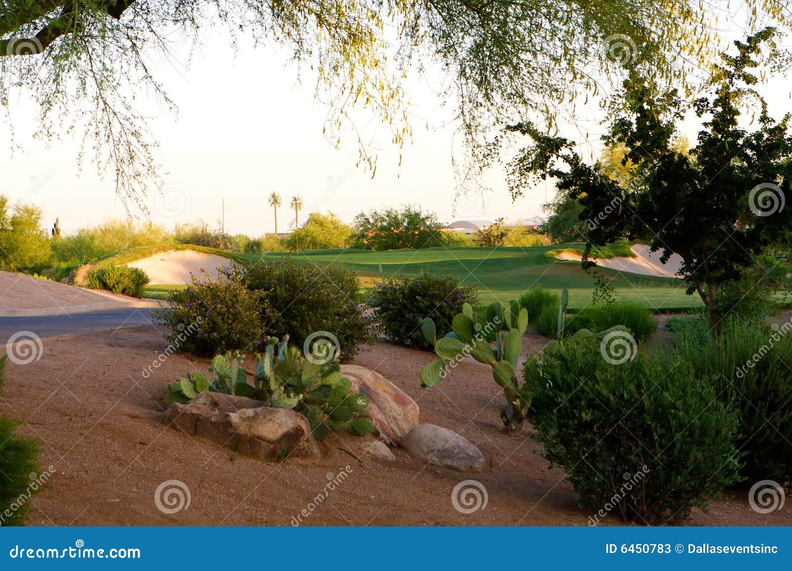 Golf Course in the Arizona Desert Stock Image - Image of colorful ...