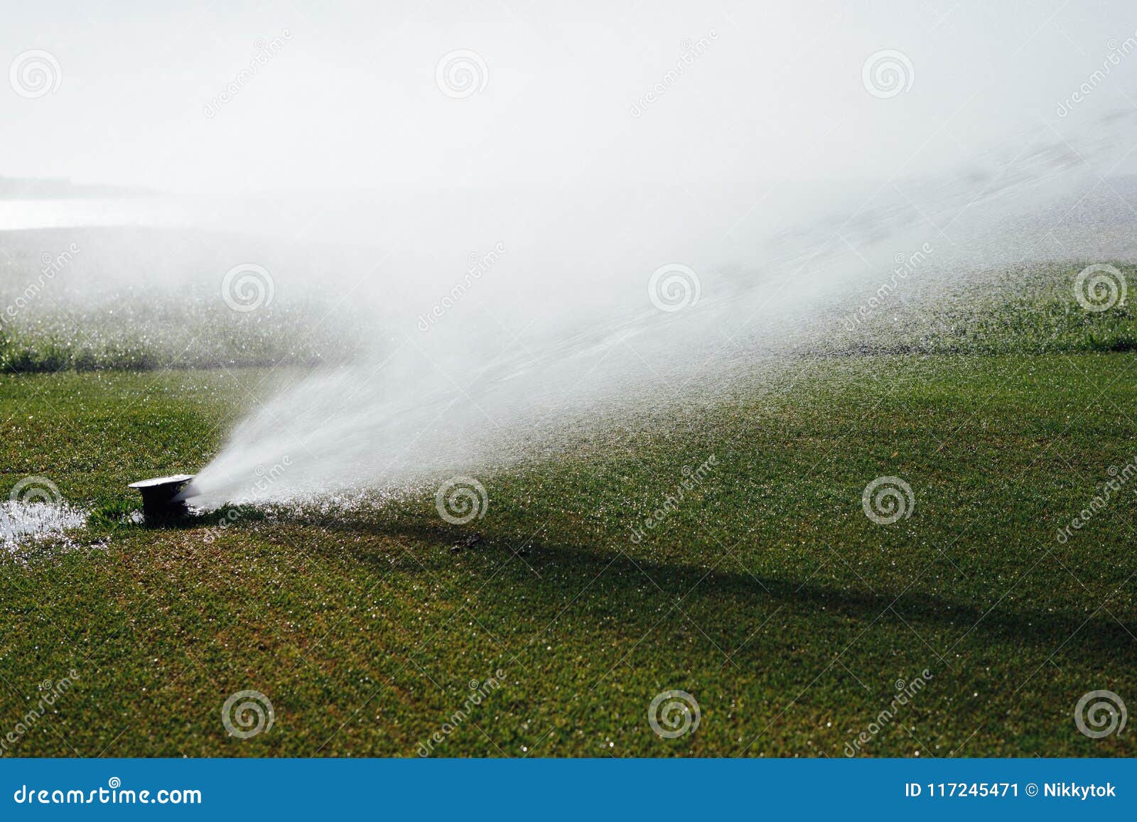 Golf Course Automatic Lawn Sprinkler Stock Image - Image of maintain ...