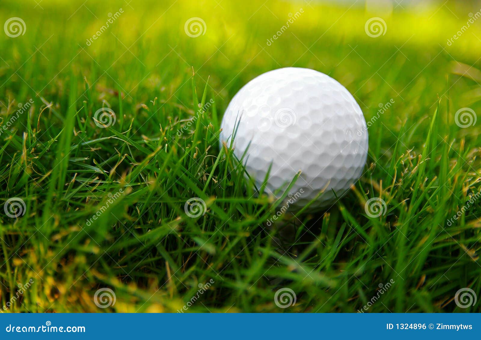 Golf course ball stock photo. Image of player, competition - 1324896