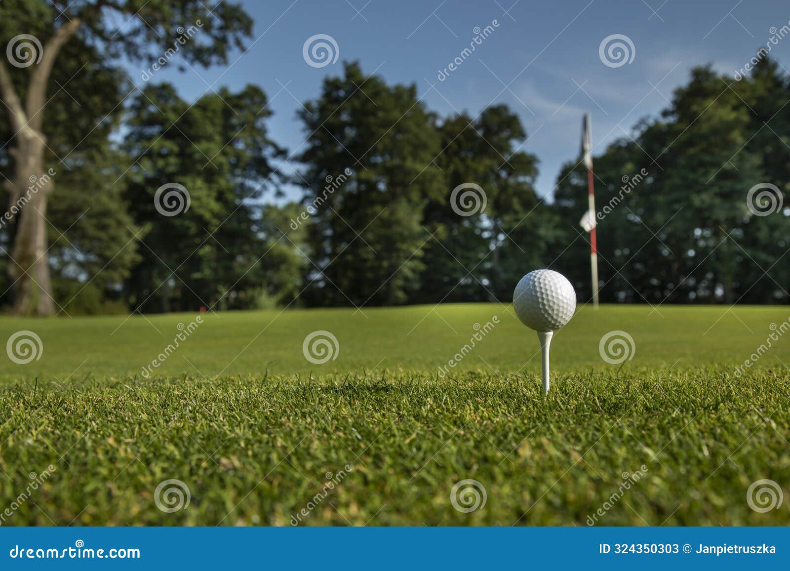 .Golf Course with Ball and Grass Stock Image - Image of leisure ...
