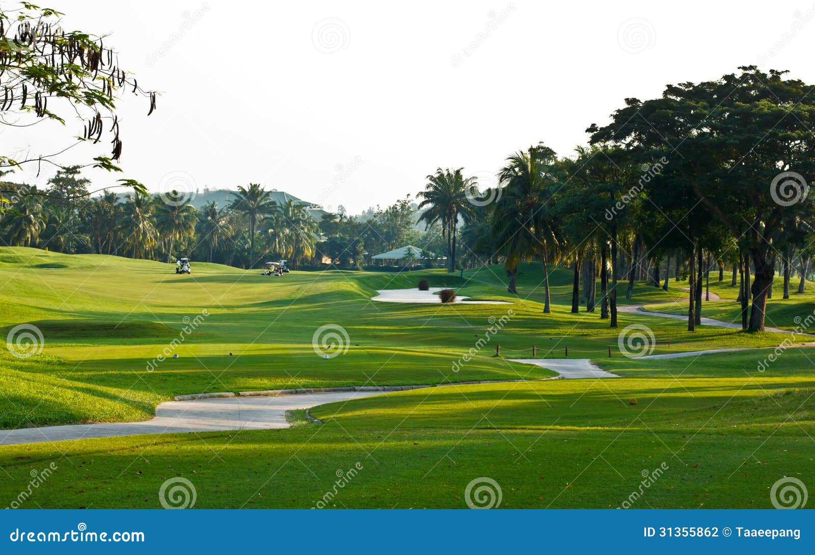 Golf course stock photo. Image of bright, environment - 31355862