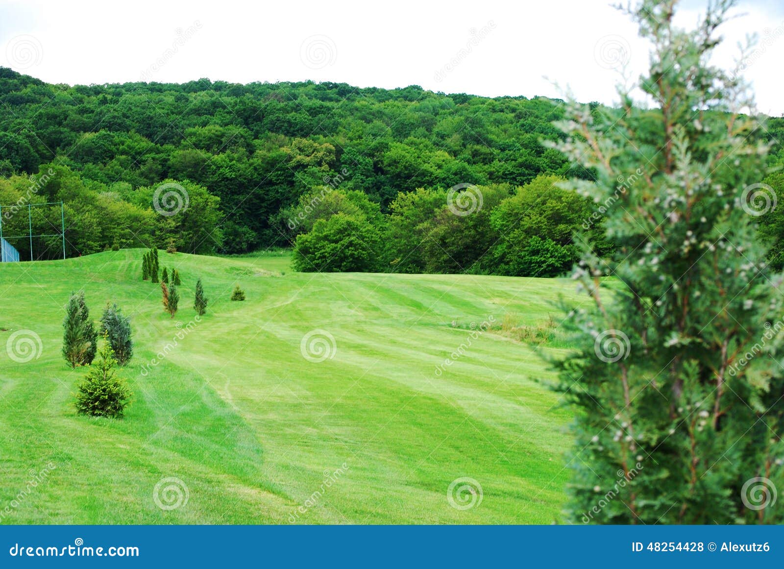 Golf Course stock photo. Image of fairway, course, golf - 48254428