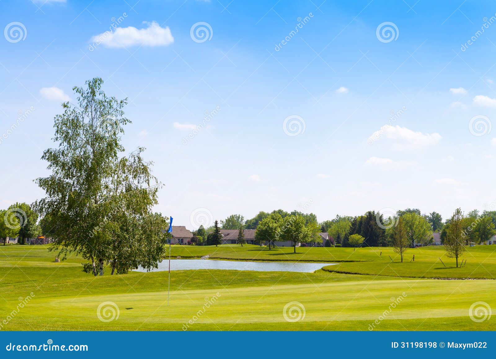 Golf Course stock photo. Image of leisure, meadow, exercise - 31198198