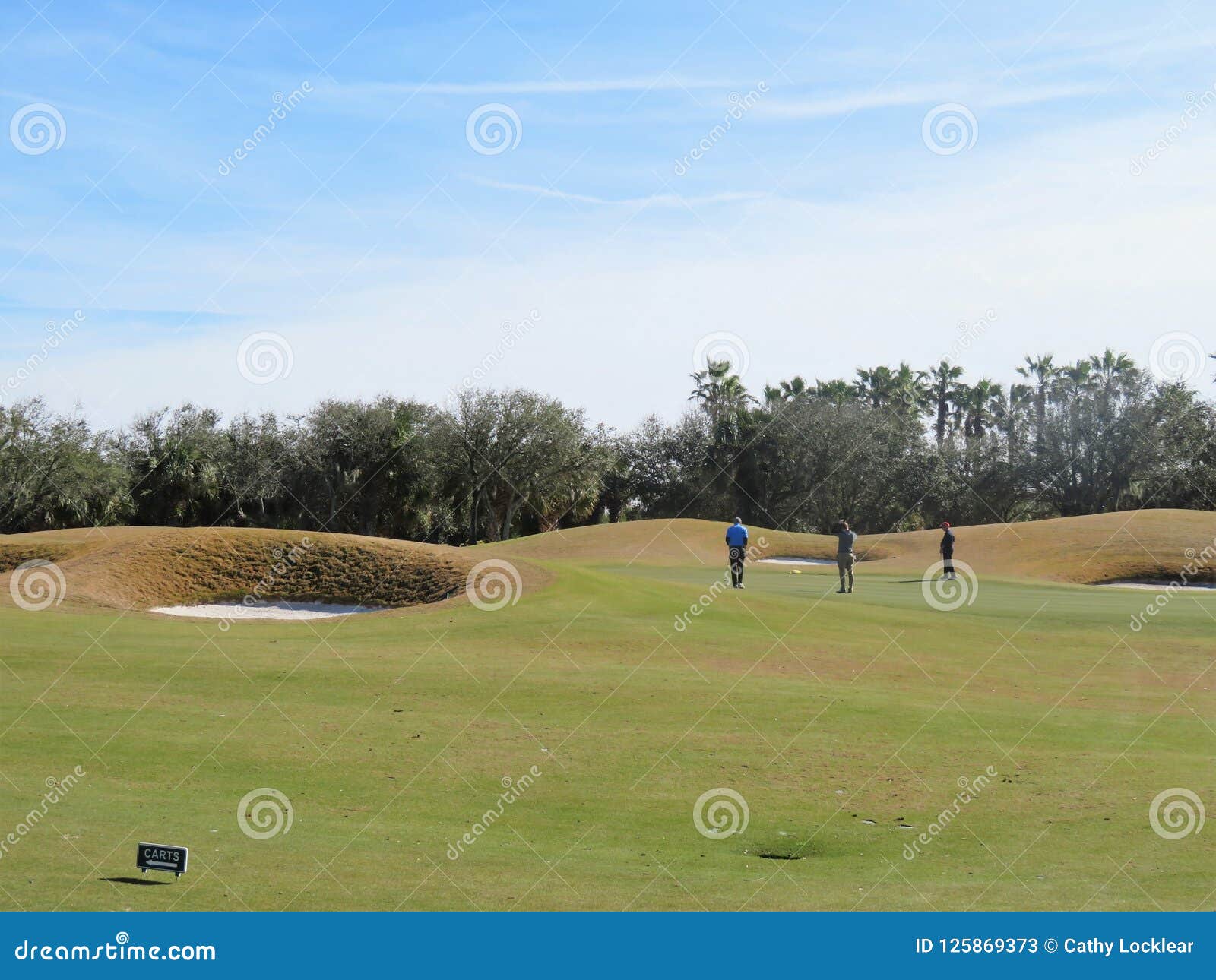 Golf Course with a Blue Sky Background Stock Image - Image of fairway ...