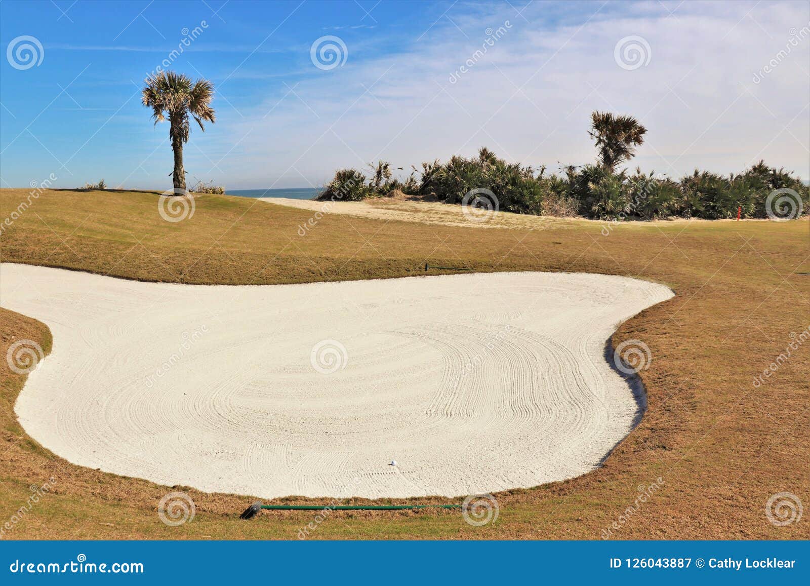 Golf Course with a Blue Sky Background Stock Image - Image of ...
