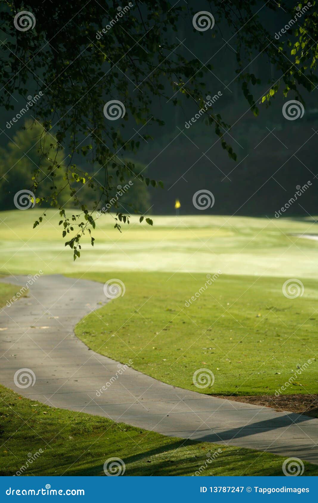 Golf Course and Cart Path stock image. Image of scenics - 13787247