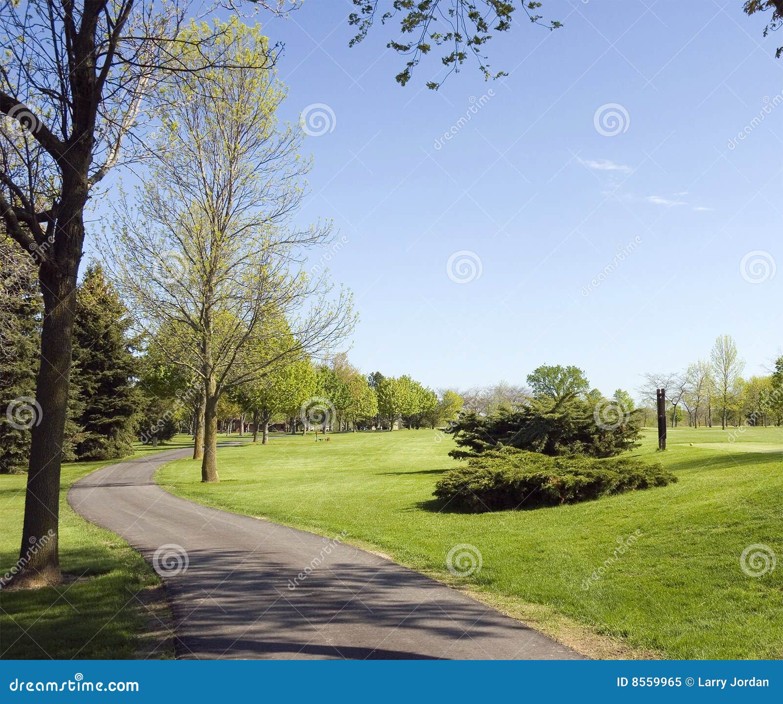 Golf Course Cart Path stock image. Image of vacation, green - 8559965