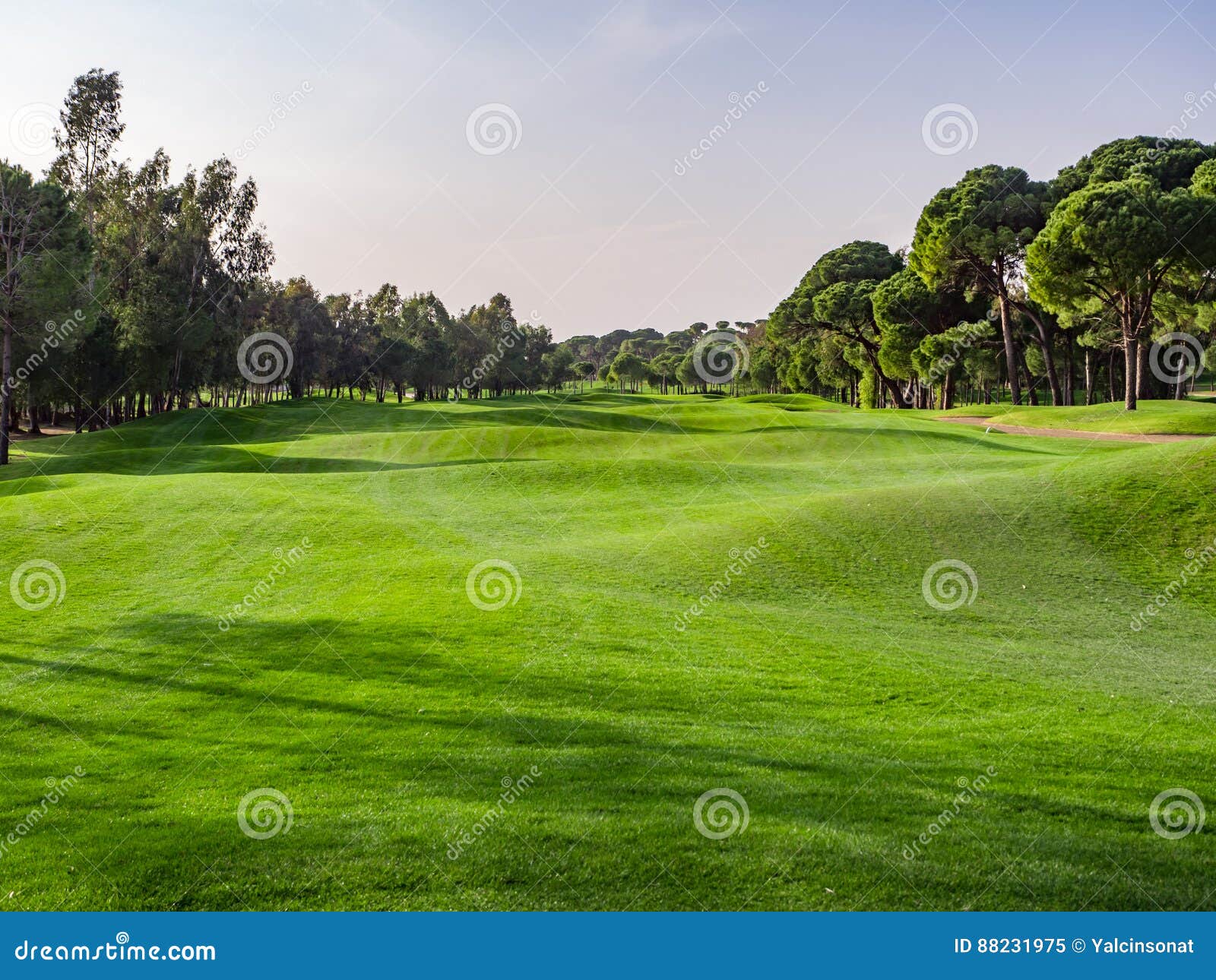 Golf Course in the Countryside Stock Image - Image of landscape, scene ...