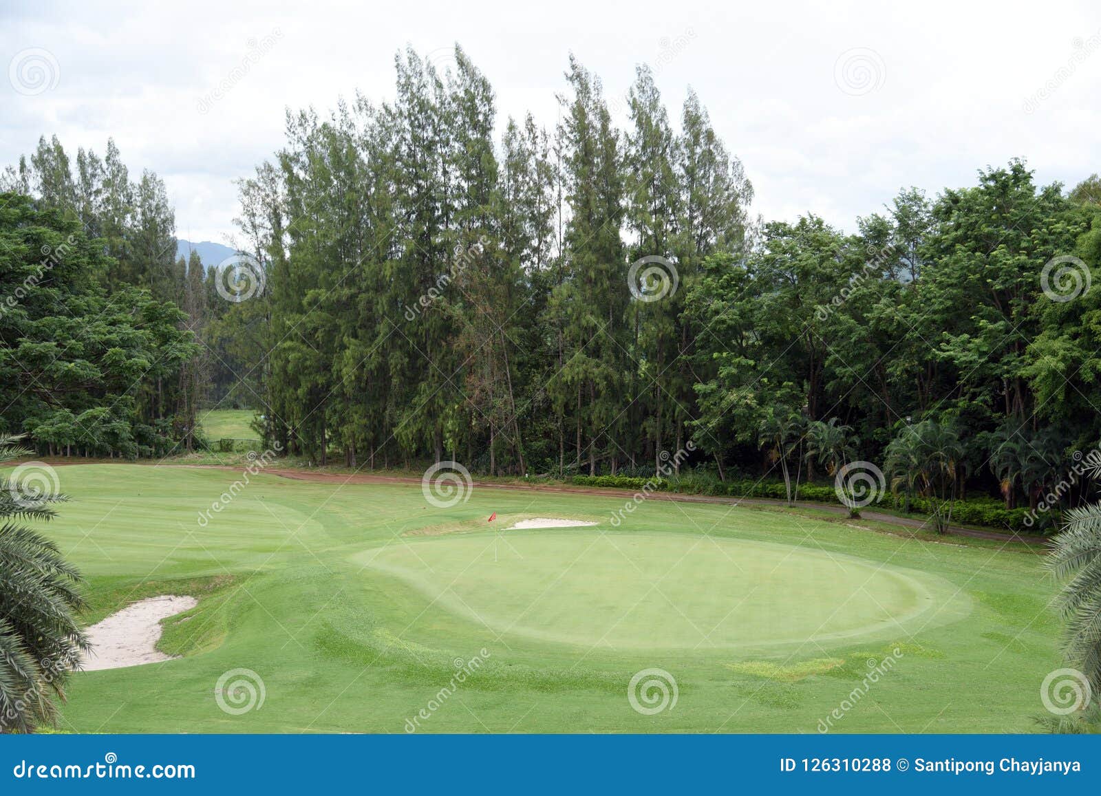 Golf Course in the Countryside. Playing Golf on a Golf Course ...