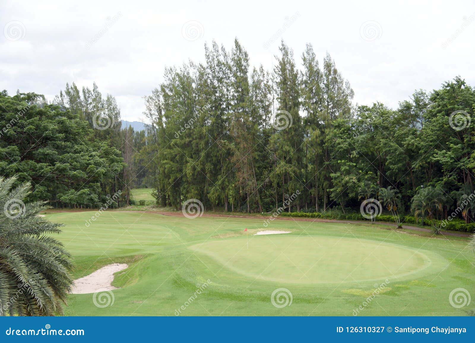 Golf Course in the Countryside. Playing Golf on a Golf Course ...
