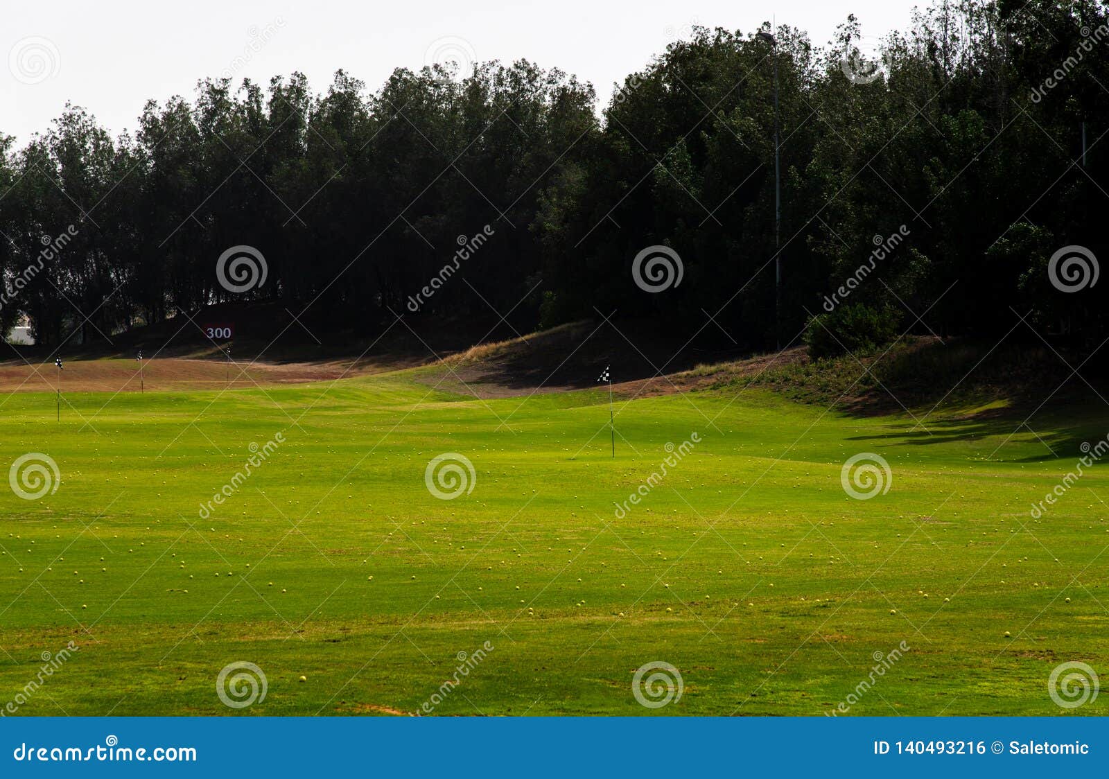 Golf Course Covered with Golfing Balls Stock Photo - Image of hobby ...
