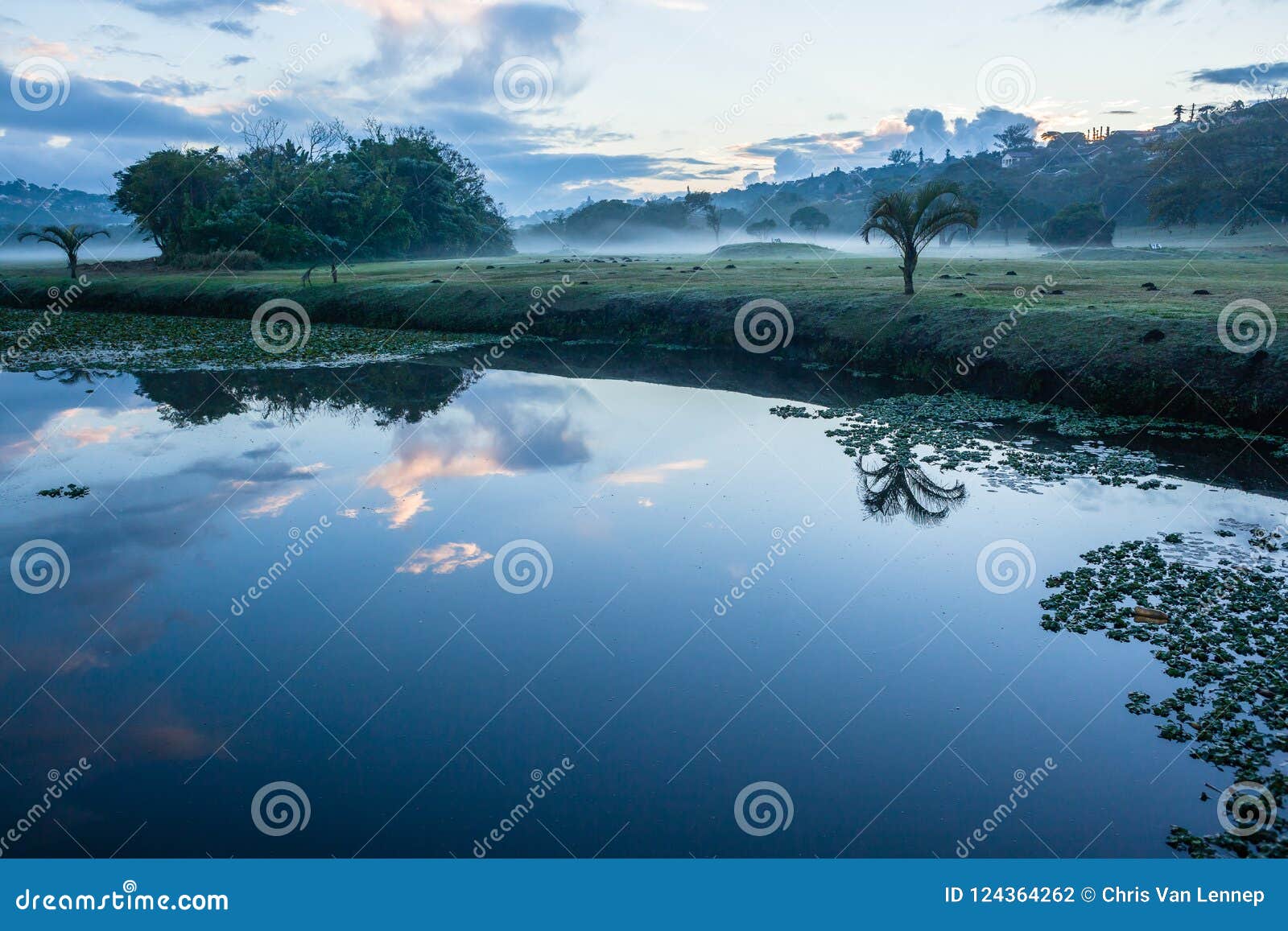 Golf Course Dawn Water Reflections Landscape Stock Photo - Image of ...