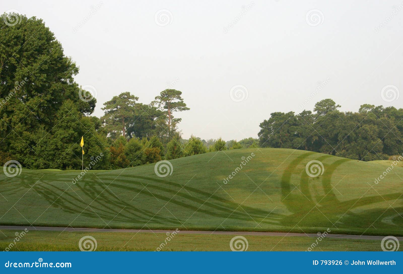 Golf course with dew stock photo. Image of morning, birdie - 793926